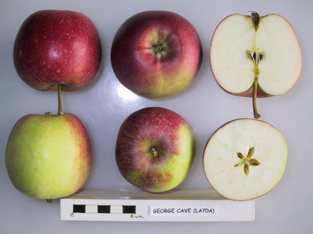 George Cave