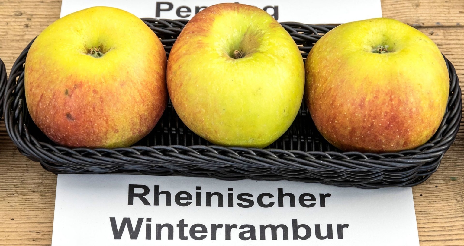 Rheinischer Winterrambour